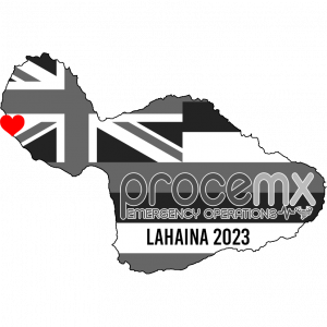 proceMX - Geospatial Work, Asset and Process Management